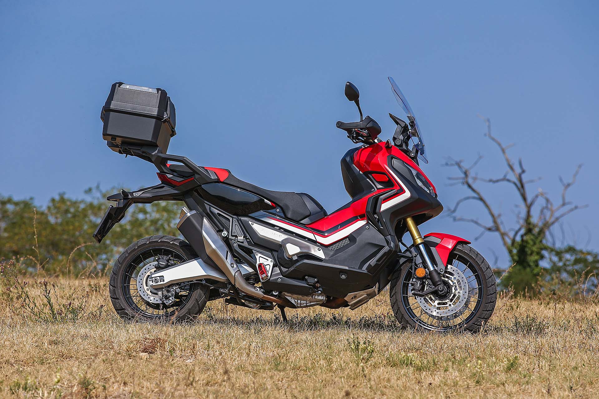 Honda X-ADV - RED Live