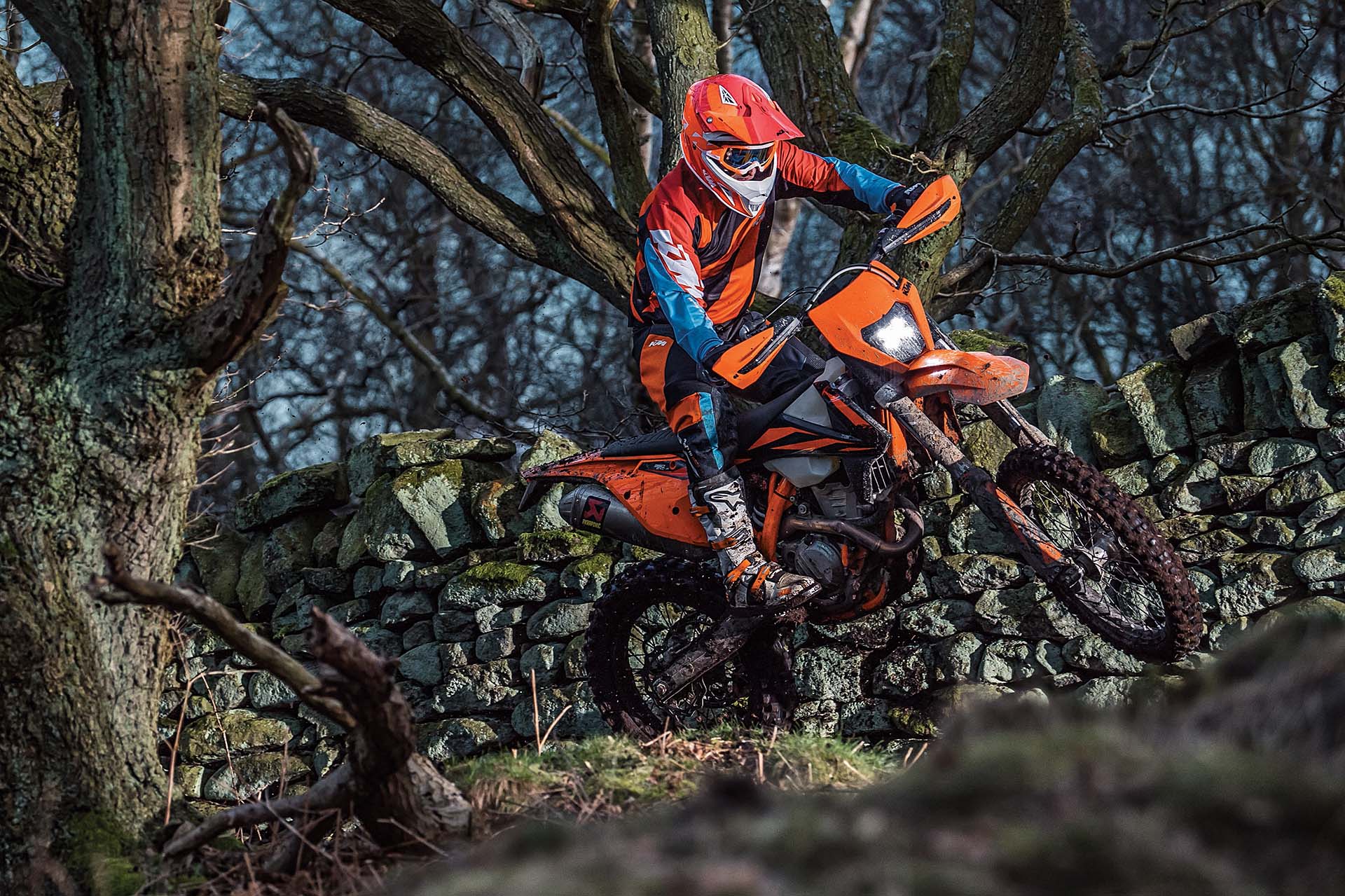 KTM EXC 2019, prima di tutti - RED Live